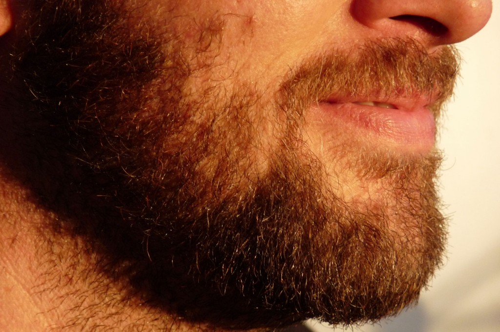 10 Curiosidades Sobre a Barba – HOMI